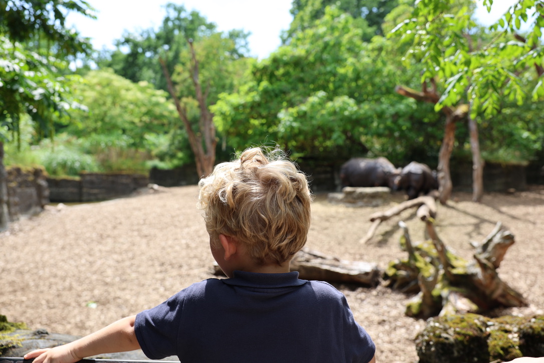 Activities With Children In Basel